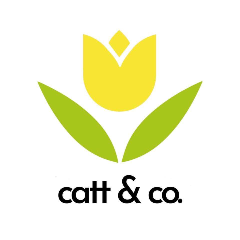 Catt & Co – D Nelson Enterprises
